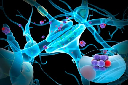 Nanotechnology Now - Press Release: Artificial neurotransmitters in ...