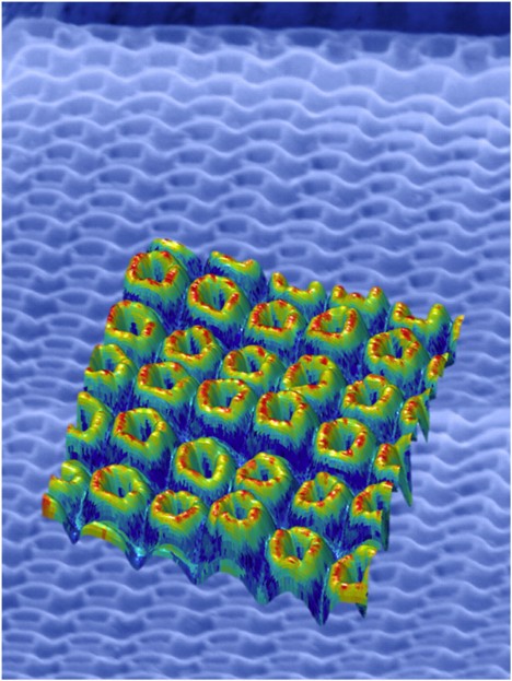 Nanotechnology Now - Press Release: Ferroelectric Nanotubes: “Soft ...